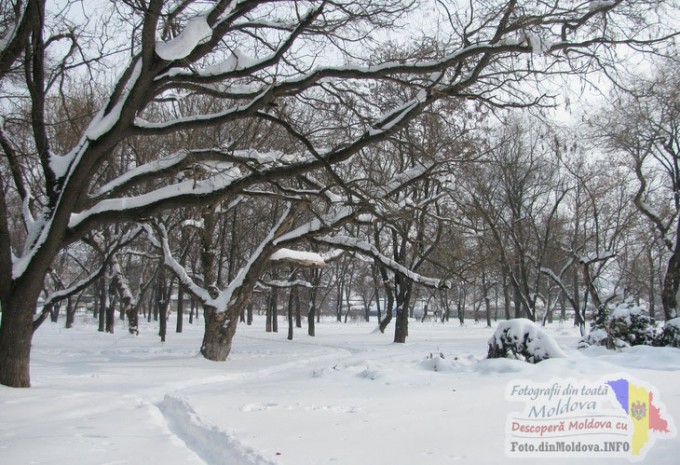 10 proverbe românești despre iarnă - ProvincialProvincial